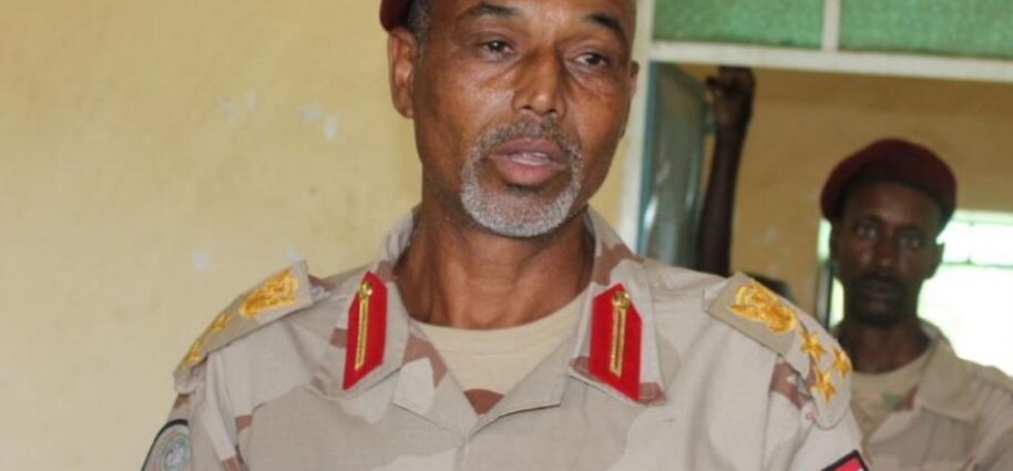 Details of Ali Yaqoub's assassination - Darfur24 News Website