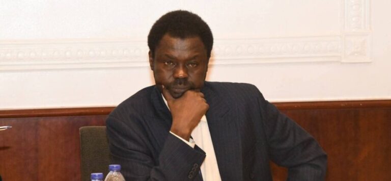 Minawi forms committee for mobilization and popular resistance in ...