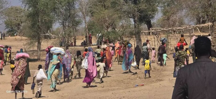 Chad Blocks Sudanese Refugees at Tine Border After Deadly Drone Strike ...